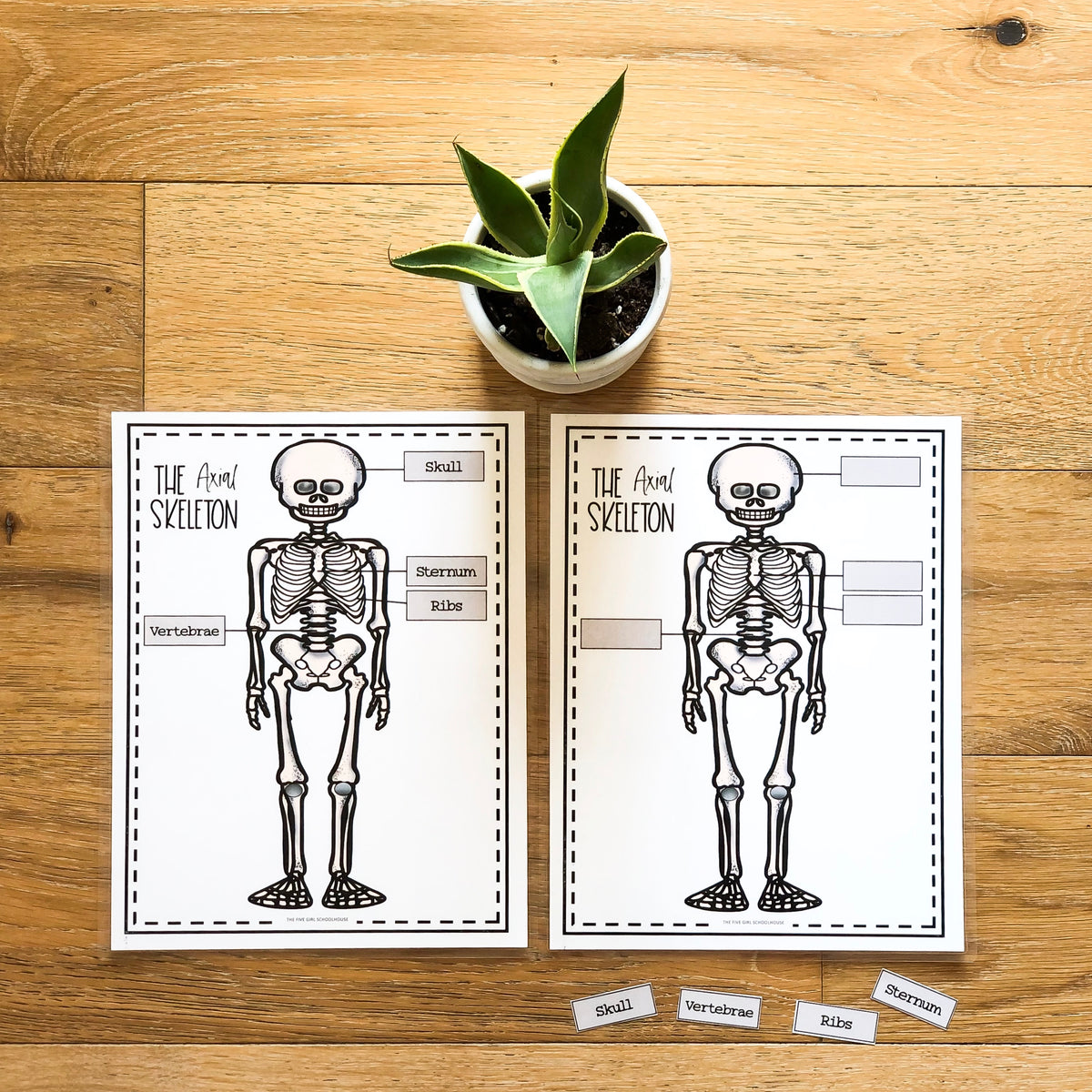 Science Learning Toolbox #1: Master the Body Systems – The Five Girl ...